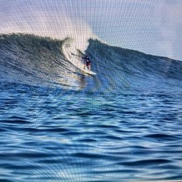 Matt Soergel’s Profile | Florida Times-Union Journalist | Muck Rack