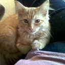 Moira Macdonald’s Profile | The Seattle Times Journalist | Muck Rack