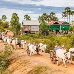 Sopheng Cheang’s Profile | Associated Press Journalist | Muck Rack