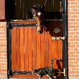 Alison Hayes’s Profile | Newmarket Journal Journalist | Muck Rack