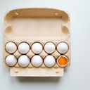 Material Handling Philippines’s Profile | Muck Rack