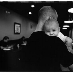 Articles by Paul Guzzo’s Profile | Tampa Bay Times, University of South ...