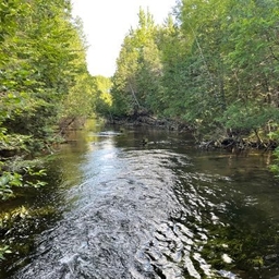 Ross Peterson’s Profile | iHeartRadio, The Drive with Heather and Sean ...