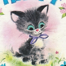 Ken Daly’s Profile | Nerd Poker Journalist | Muck Rack