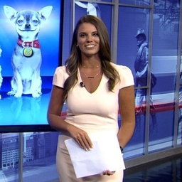 Taylor Knight’s Profile | WFSB-TV (Hartford, CT) Journalist | Muck Rack