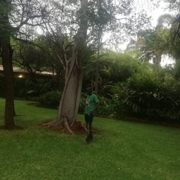 Articles by Tawanda Karombo’s Profile | Freelance Journalist | Muck Rack