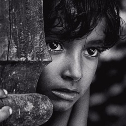 Sharan Shetty’s Profile | The New Yorker Journalist | Muck Rack