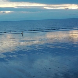 Gary Rose’s Profile | BBC Journalist | Muck Rack