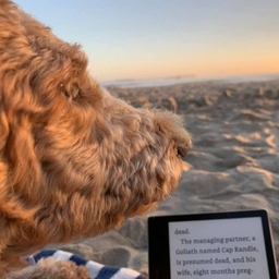 Tami Hoey’s Profile | Arizona PBS Journalist | Muck Rack