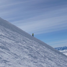 Jeanette DeForge’s Profile | The Republican (Springfield, MA ...