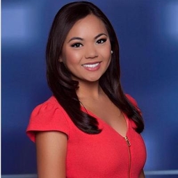 Van Tieu’s Profile | MSN, KHOU-TV (Houston, TX), WXIA-TV (Atlanta, GA ...
