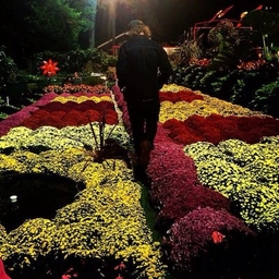 Grayson Haver Currin’s Profile | The New York Times Journalist | Muck Rack