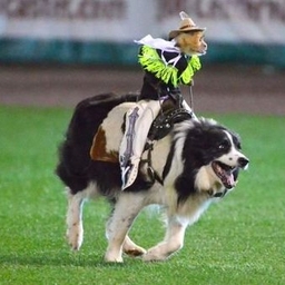 Dell Cameron’s Profile | WIRED Magazine Journalist | Muck Rack