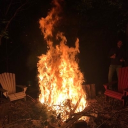 Michael Tortorello’s Profile | Sahan Journal Journalist | Muck Rack