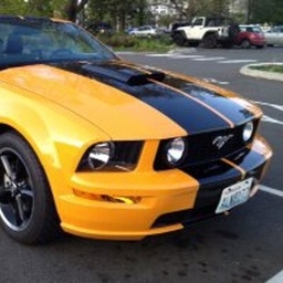 Greg Rasa’s Profile | Yahoo Life, MSN (US), MSN Canada Journalist ...