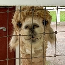 David Randall’s Profile | Reuters Journalist | Muck Rack