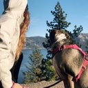 Miranda Jacobson’s Profile | Issuu, The Union, Nevada Appeal Journalist ...