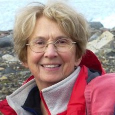 Anne Z. Cooke’s Profile | Freelance Journalist | Muck Rack