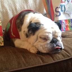 Rich McLaughlin’s Profile | WFUV-FM (Bronx, NY) Journalist | Muck Rack