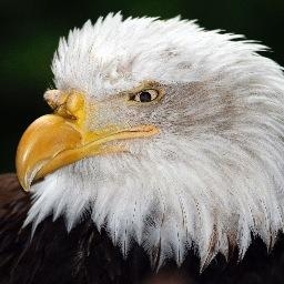 Don Ryan’s Profile | Associated Press Journalist | Muck Rack