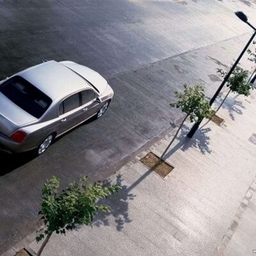 Anita Gates’s Profile | O Globo, The New York Times, The New York Times ...