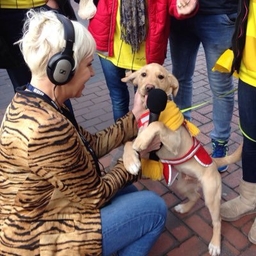 Kat Orman’s Profile | BBC Radio Oxford Journalist | Muck Rack