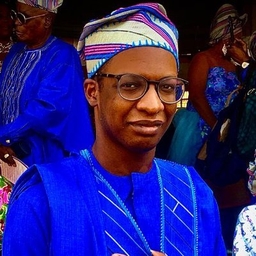 Tomiwa Owolade’s Profile | The Telegraph Journalist | Muck Rack