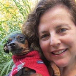 Karen Angel’s Profile | Freelance Journalist | Muck Rack