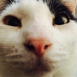 Robert Ferris’s Profile | CNBC Journalist | Muck Rack