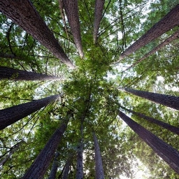 Anna Maria Barry-Jester’s Profile | ProPublica Journalist | Muck Rack