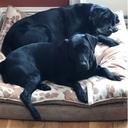 Burke Magnus’s Profile | ESPN Journalist | Muck Rack