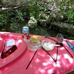 Lisa MacNeil’s Profile | Hernando Sun Journalist | Muck Rack