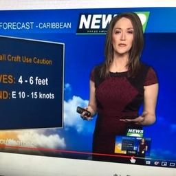 Erin Calandra’s Profile | AccuWeather, WXIA-TV (Atlanta, GA) Journalist ...