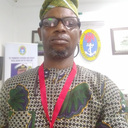 Adeyinka Adeniji’s Profile | New Telegraph Nigeria Journalist | Muck Rack