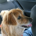 Christian Hertzog’s Profile | The San Diego Union-Tribune, LA Weekly ...