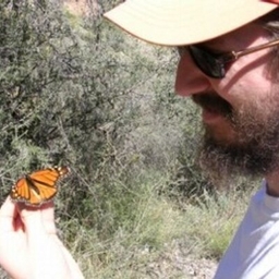 Steve Frank’s Profile | Medium, Daily Mail, HuffPost Journalist | Muck Rack