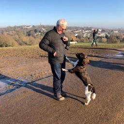 Richard Lander’s Profile | Citywire Journalist | Muck Rack