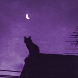 Grace Capel’s Profile | The Daily Gazette (Colchester, UK) Journalist ...