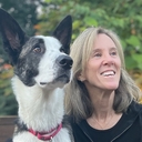 Rachel Toor’s Profile | Inside Higher Ed Journalist | Muck Rack