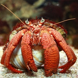 Stephen Romei’s Profile | The Australian Journalist | Muck Rack