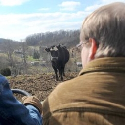 James Shea’s Profile | Food Delivery News Journalist | Muck Rack