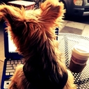 Gigi Chow’s Profile | Muck Rack