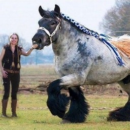 Gavin Haynes’s Profile | Apple Podcasts, The Guardian, Yahoo ...