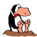 Roger Quigg-Stroop’s Profile | Old Man Yells at Music Journalist | Muck ...