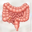 Liver Doctor Singapore’s Profile | Muck Rack