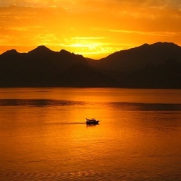 Serkan Keskin’s Profile | Cointelegraph Journalist | Muck Rack