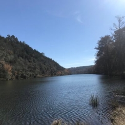 Michael Sparkman’s Profile | Texas History Lessons Journalist | Muck Rack