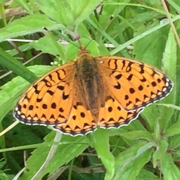 Tim Knight’s Profile | Fauna & Flora International Journalist | Muck Rack