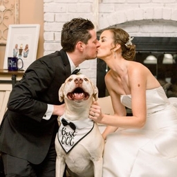 Alex Crowe’s Profile | Wisconsin Public Radio, Morning Edition Journalist | Muck Rack