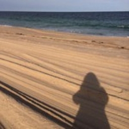 Christine Quinlan’s Profile | Freelance Journalist | Muck Rack